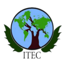 Home | Daffodil Computers PLC.